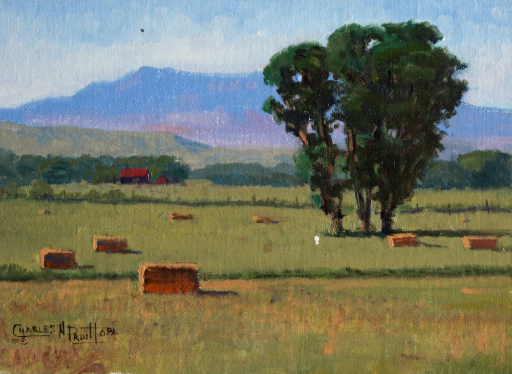Artist Gallery - The Gallery At The Haley